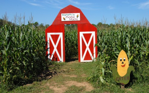 Best Corn Maze In Alabama: Magnolia Corn Maze