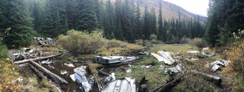 The Tubal Cain Plane Crash In Washington Leads To A B-17