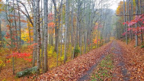 9 Lesser-Known State Parks In West Virginia You Need To Visit
