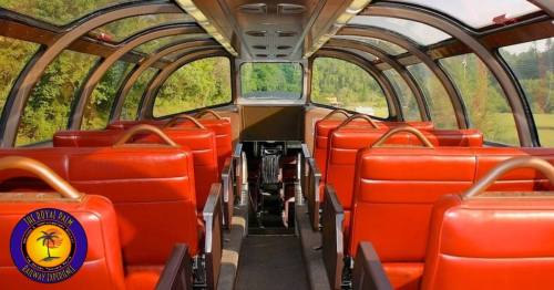 Take The Golden Triangle Train To Enjoy The Best Florida Scenery