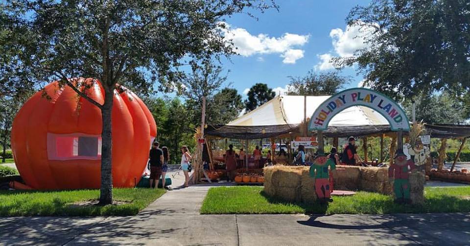 Pumpkin Towne: The Best Pumpkin Patch In Florida
