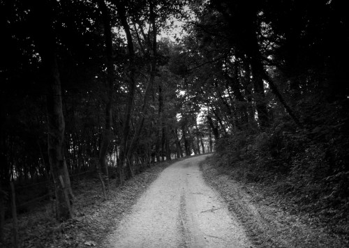 Louisiana Folklore: 7 Tales, Legends, And Superstitions