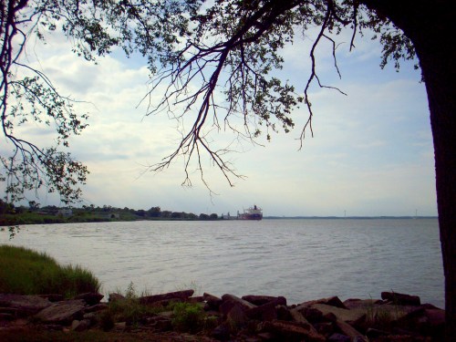 Explore Delaware's Scenic Route 9: A Perfect Road Trip