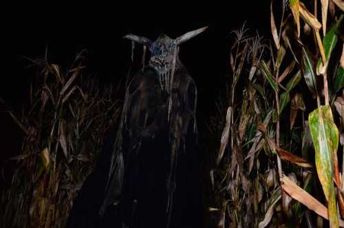 Field of Scream Is The Scariest Haunted Corn Maze In Kentucky