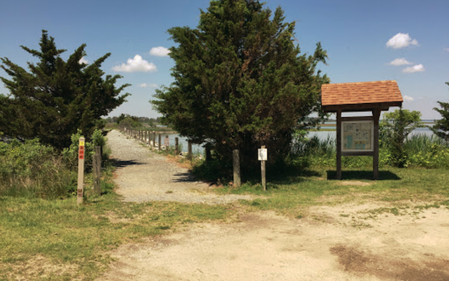 Burton Island In Delaware Seashore State Park Is Incredible