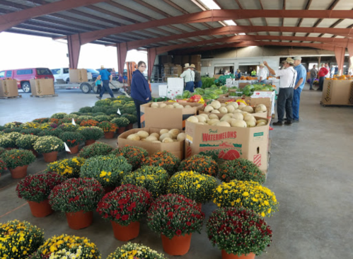 The Bloomfield, Iowa Amish Community Is Worth A Visit