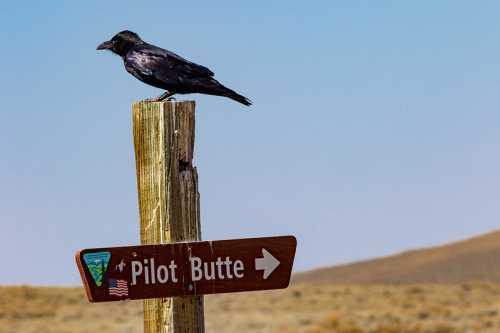Explore Pilot Butte Wild Horse Scenic Loop in Wyoming