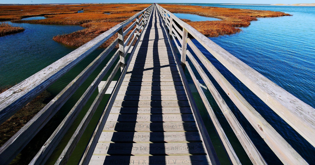 This Beautiful Boardwalk Trail In Massachusetts Is The Most Unique Hike ...