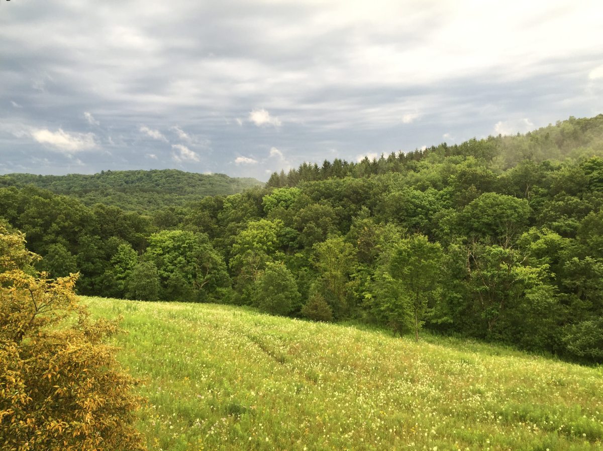 Discover the Hidden Gem of Kickapoo Valley in Wisconsin