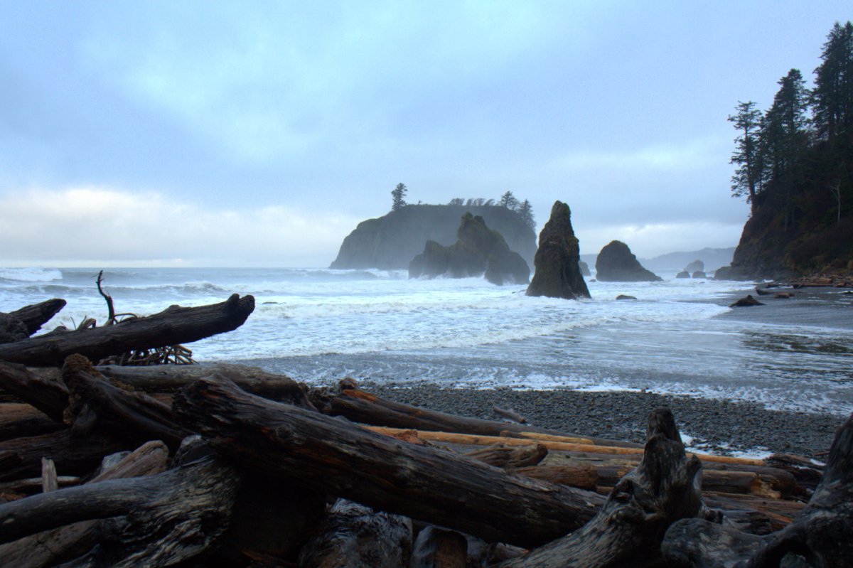 These Are The 4 Best Winter Drives To Take In Washington