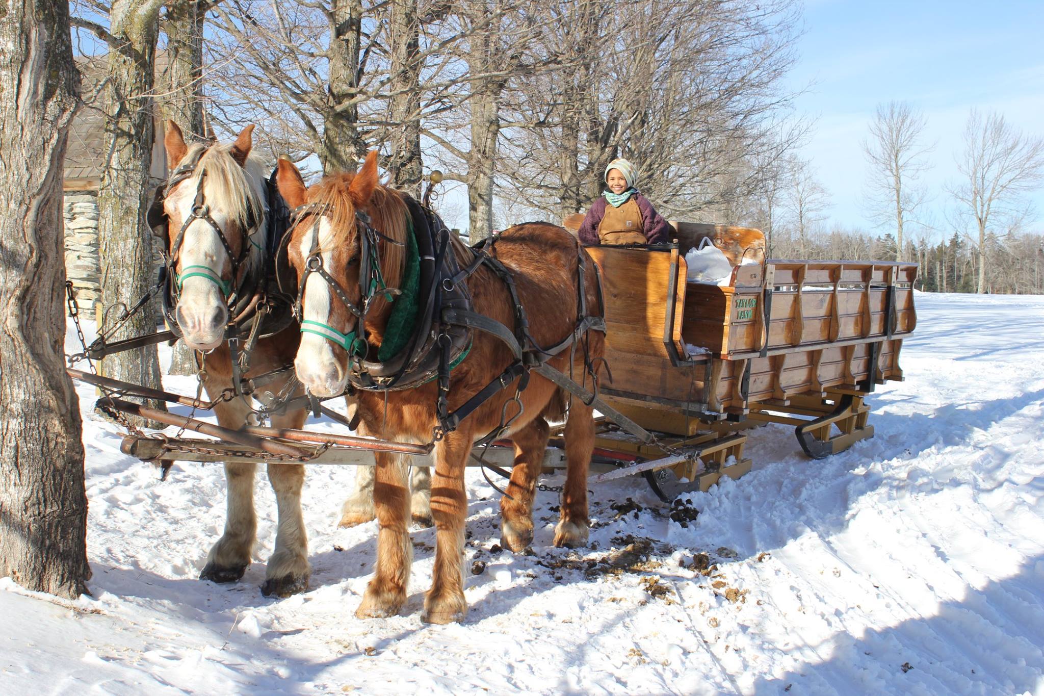 This 45-Minute Vermont Sleigh Ride Takes You Through A Winter Wonderland