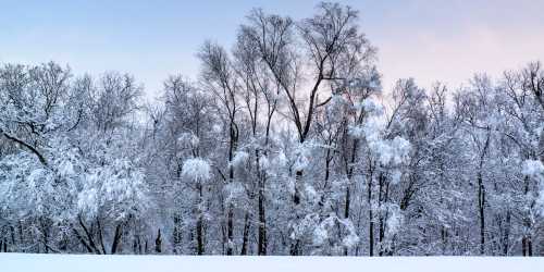 Winter In Iowa Is Stunning In These 12 Picturesque Places