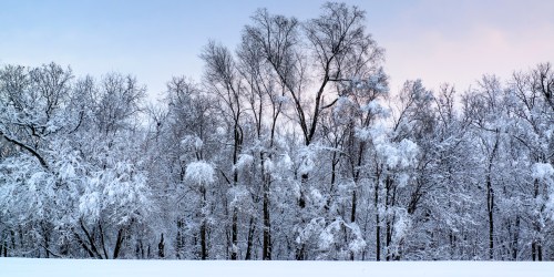 Winter In Iowa Is Stunning In These 12 Picturesque Places