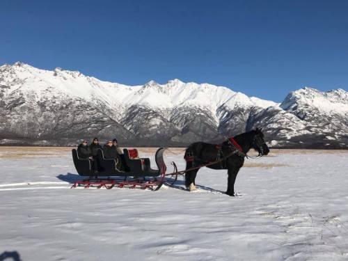 This Sleigh Ride In Alaska Shows You A Winter Wonderland