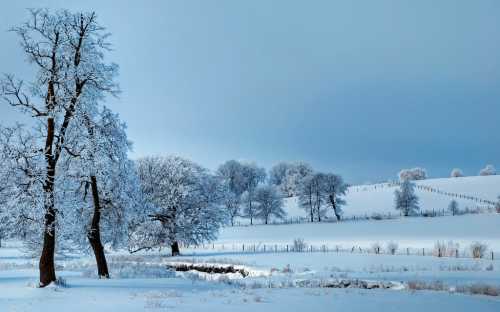 Winter In Iowa Is Stunning In These 12 Picturesque Places