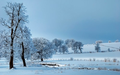 Winter In Iowa Is Stunning In These 12 Picturesque Places