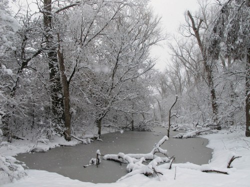Winter In Iowa Is Stunning In These 12 Picturesque Places