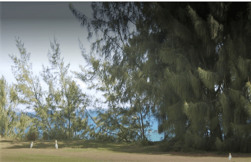 Hawaii's Ancient Honokahua Burial Site Is A Historical Wonder