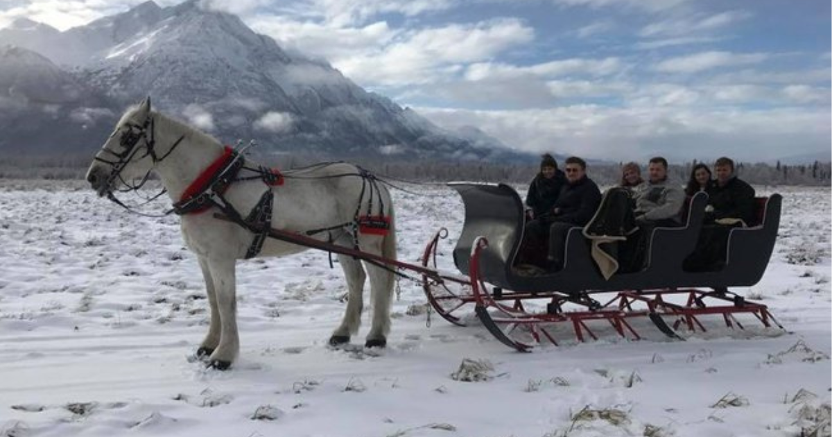 This 60-Minute Alaska Sleigh Ride Takes You Through A Winter Wonderland