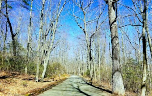 Learn The Fascinating Story Behind Judges Cave In Connecticut
