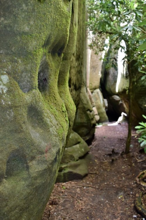 The Channels: An Otherworldly Rock Maze In Virginia