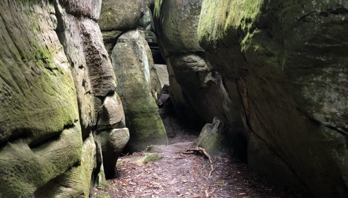 Hike Through Virginia’s Rock Maze For An Adventure Like No Other