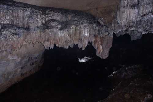 The Gowrow In Arkansas Is A Bizarre And Fascinating Creature