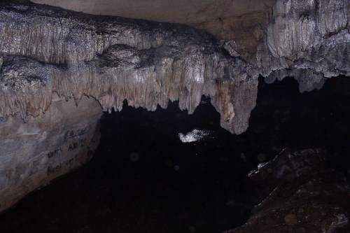 The Gowrow In Arkansas Is A Bizarre And Fascinating Creature