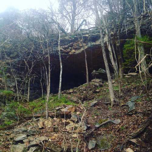 The Gowrow In Arkansas Is A Bizarre And Fascinating Creature