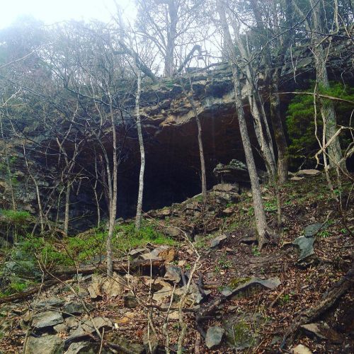 The Gowrow In Arkansas Is A Bizarre And Fascinating Creature