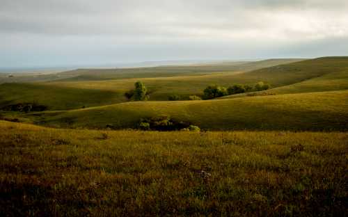 The One Time Of Year When The Kansas Hills Come Alive With Music