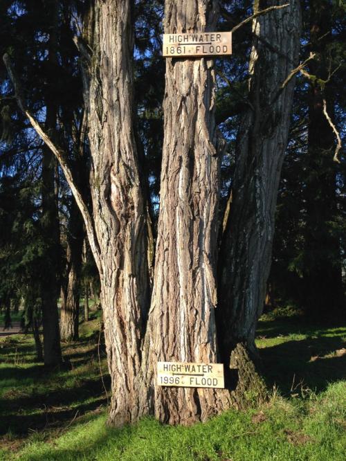 Champoeg State Heritage Area And Oregon's Fascinating History