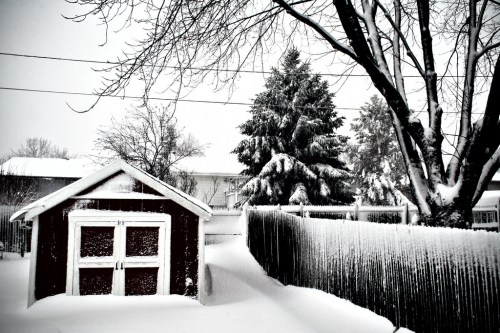 The Worst Blizzard In Idaho Took Place In 1968