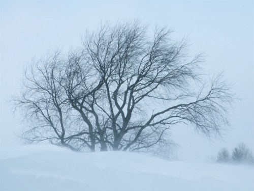 The Worst Blizzard In Idaho Took Place In 1968