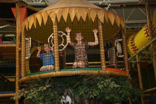 Jungle Java Is Best Indoor Playground Near Detroit