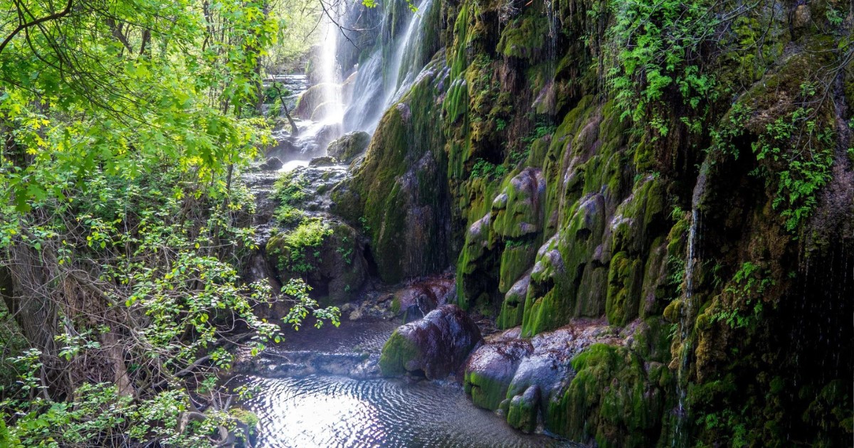 Gorman Falls Trail in Texas: Best Hike In Austin
