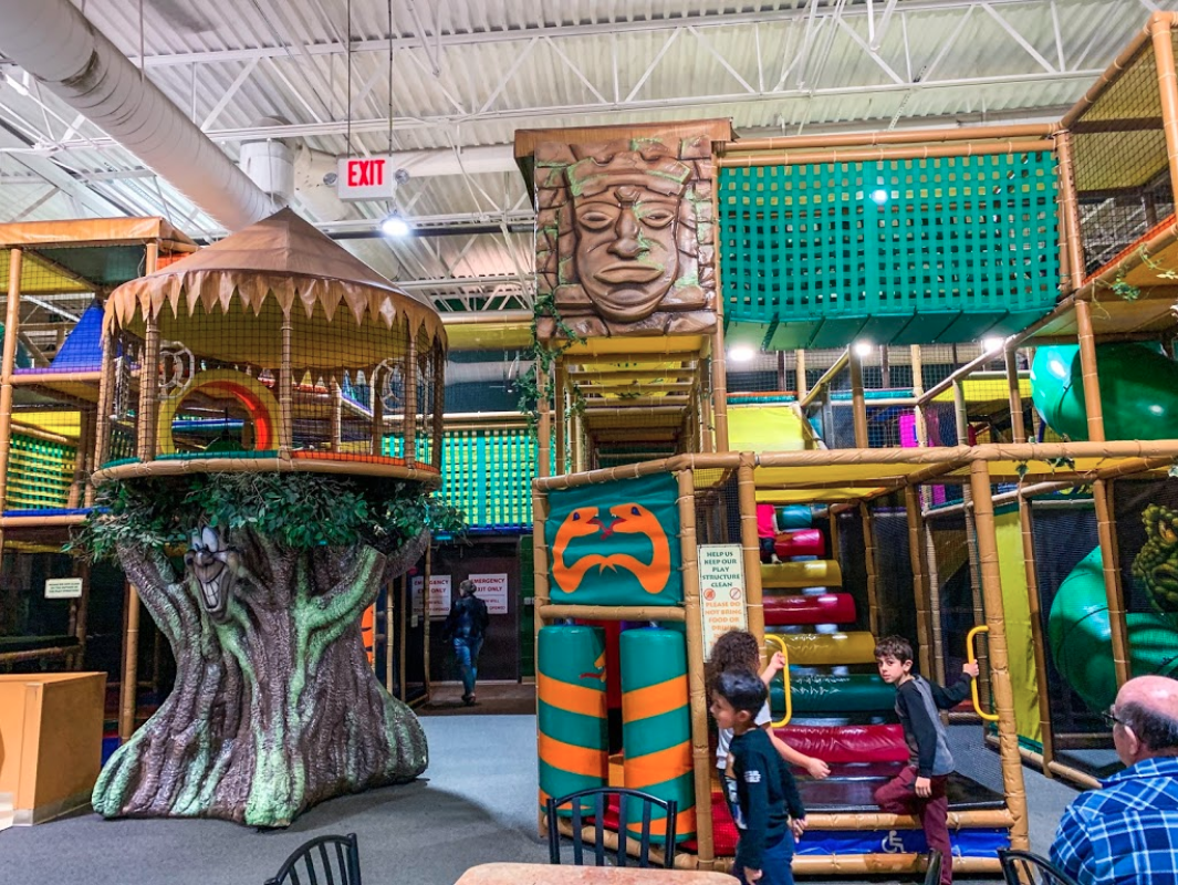 Jungle Java Is Best Indoor Playground Near Detroit