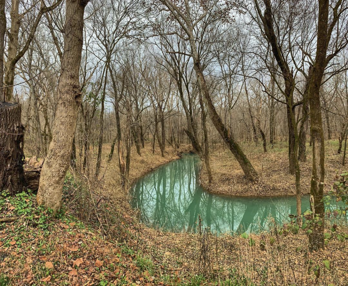 There’s An Emerald Spring Hiding In Kentucky That’s Too Beautiful For Words
