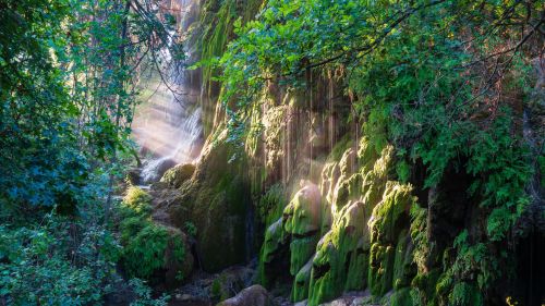 Gorman Falls Trail in Texas: Best Hike In Austin
