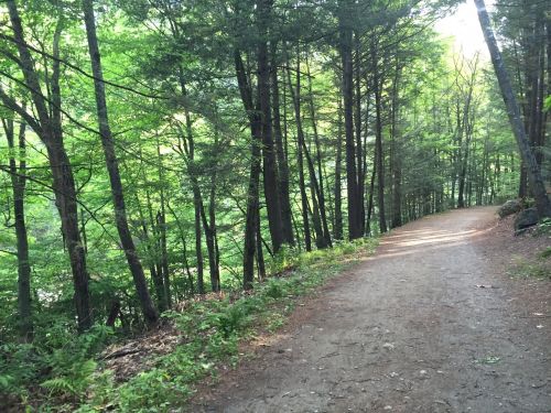 The Hamilton Falls Trail In Vermont Is An Unforgettable Hike