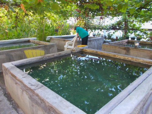 Explore Manley Hot Springs and Historic Roadhouse in Alaska