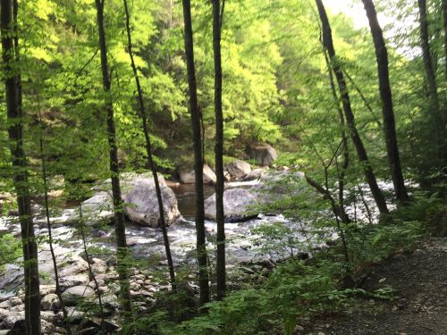 The Hamilton Falls Trail In Vermont Is An Unforgettable Hike