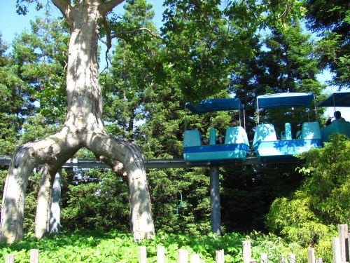 One Of The Best Gardens In California: Circus Trees In Gilroy