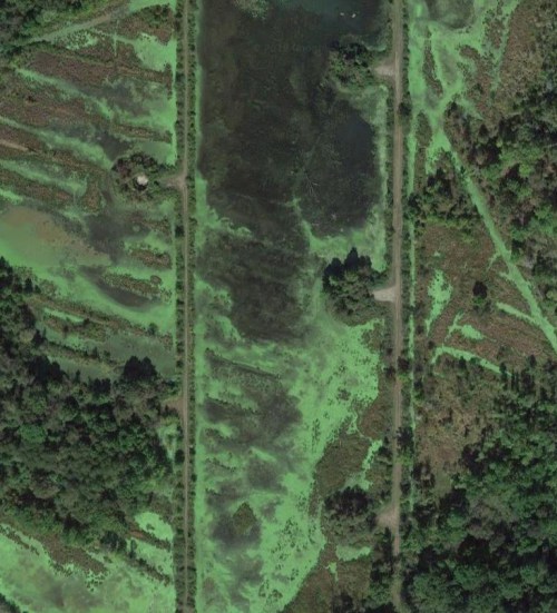 Point Pleasant TNT Factory: An Eerie Abandoned Place In WV