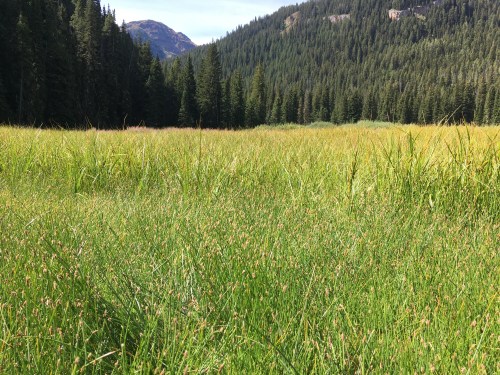 5 Montana Serial Killers That Will Chill You To The Bone