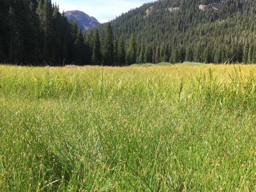 5 Montana Serial Killers That Will Chill You To The Bone