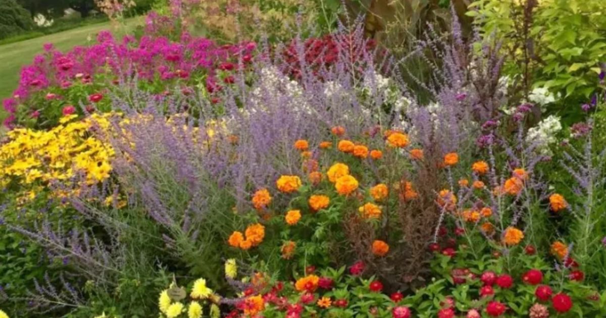 Step Into A Dream When You Visit This Flower Farm In Connecticut