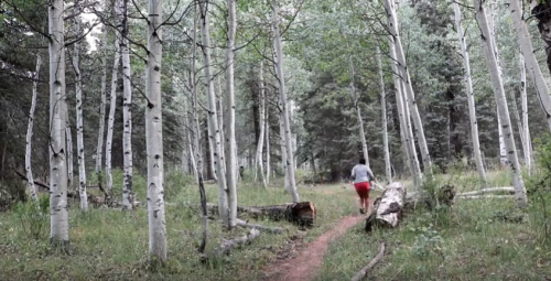 This Geyser In Colorado On The Geyser Spring Trail Is Amazing