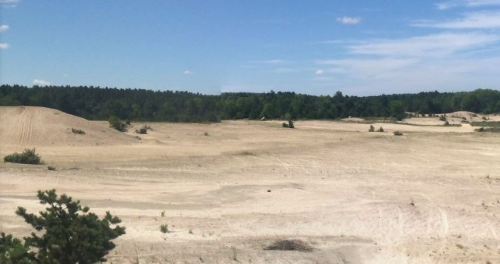 Rhode Island's Desert: Take A Hike In Big River Management Area