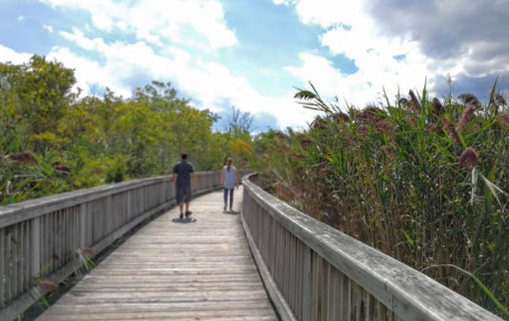 Kick Off Spring With These 10 Best Hikes In Rhode Island